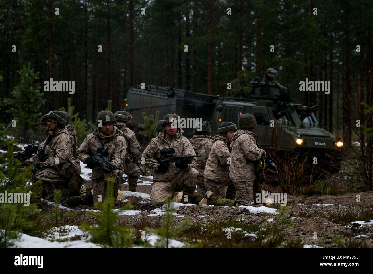 U.S. Marines with Marine Rotational Force Europe (MRF-E) 17.2 conduct ...
