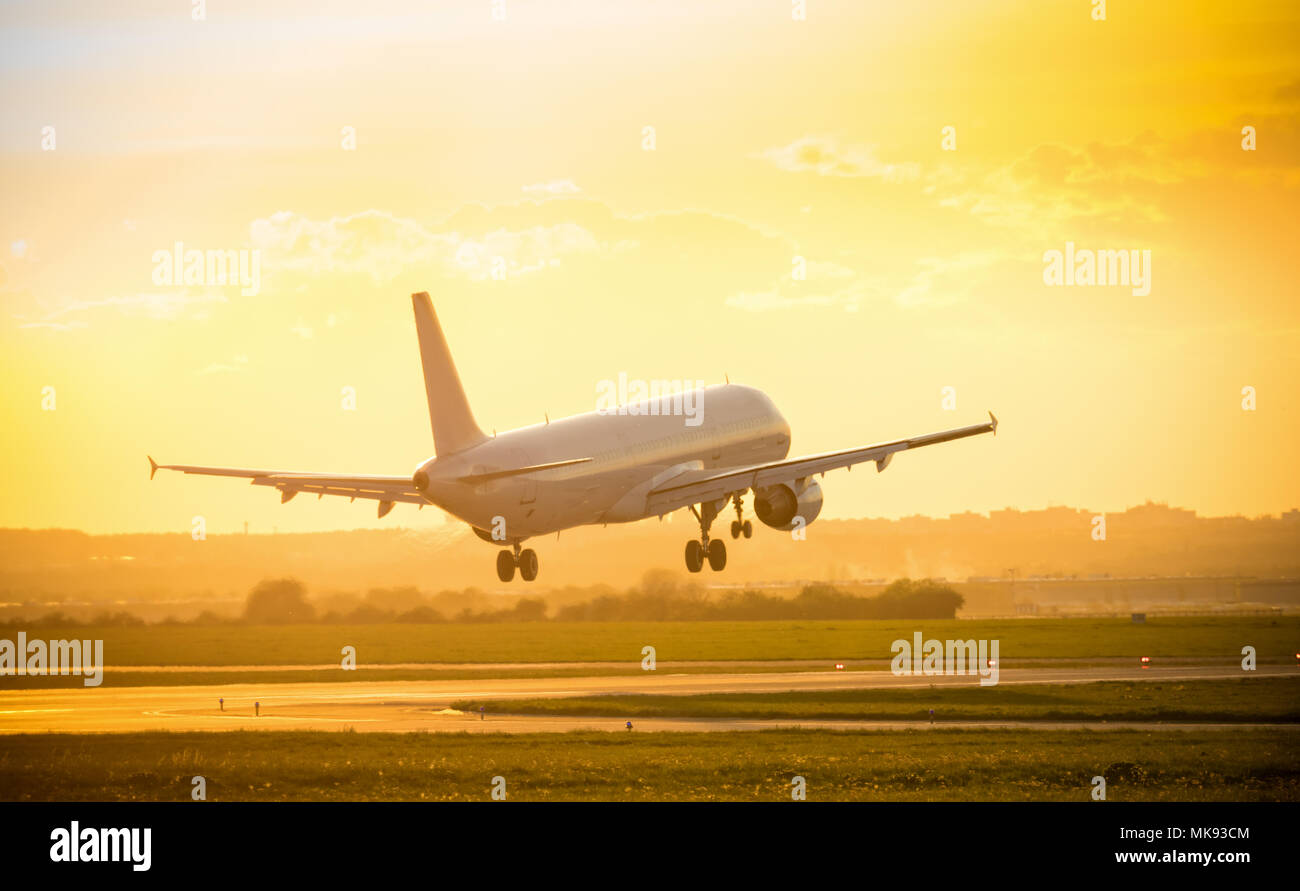 Big commercial passengers airplane landing in sunset light Stock Photo ...