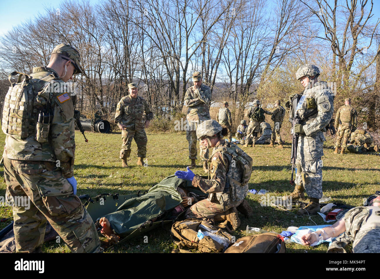 Command Sgt. Maj. Matthew Brady of the Regional Health Command ...