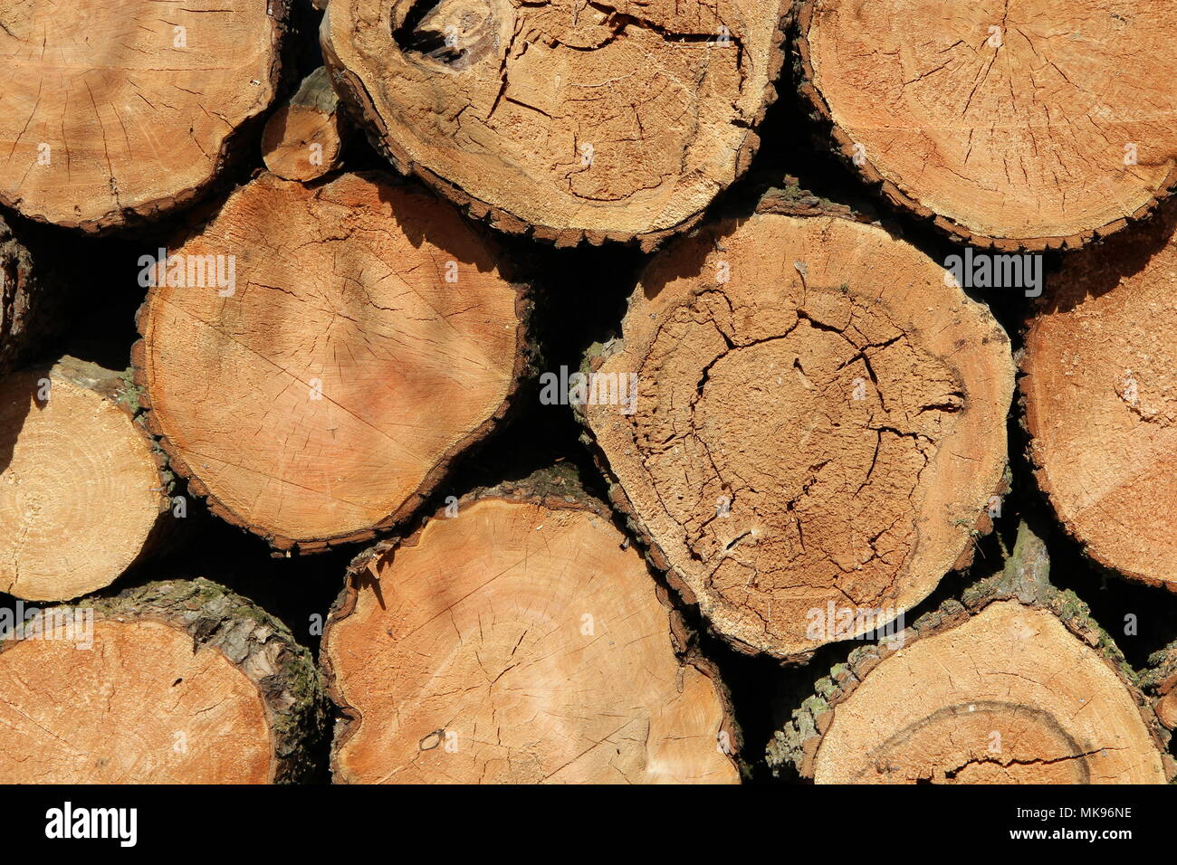 Pattern of wooden beams in heap. Thick beams Stock Photo - Alamy
