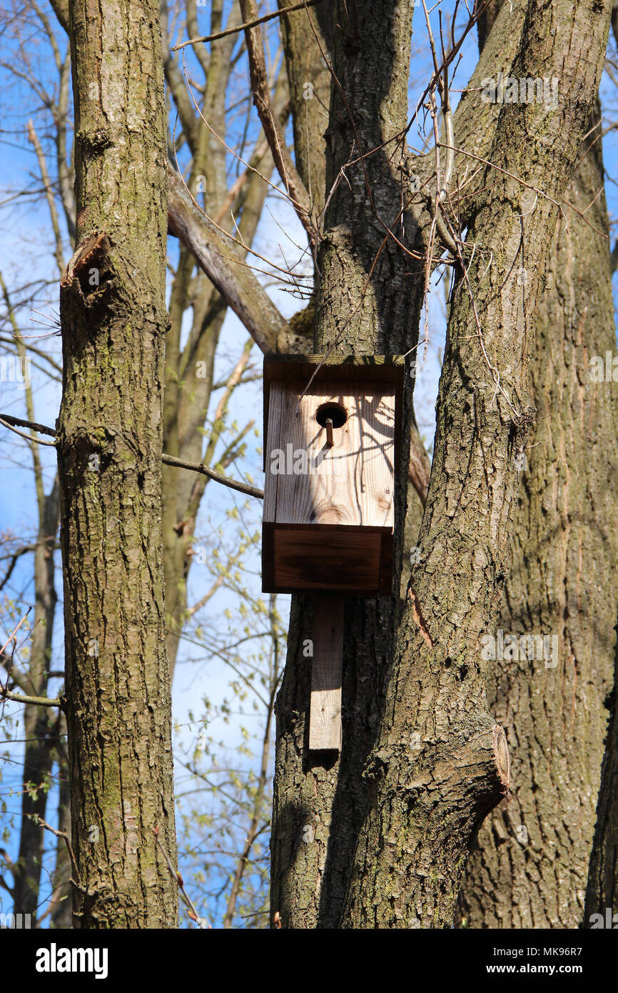 Nest box between trees. Empty nest box waiting for its inhabitants ...