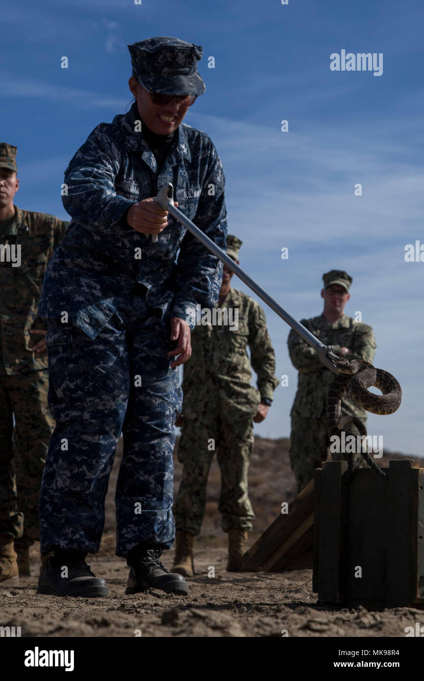 Regional operational support unit hi-res stock photography and images ...