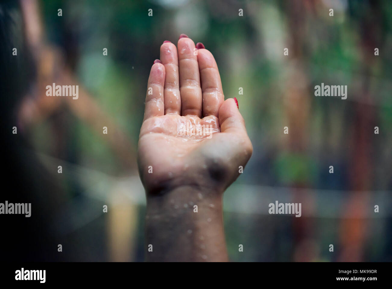 Rain drops falling on woman’s hand Stock Photo - Alamy