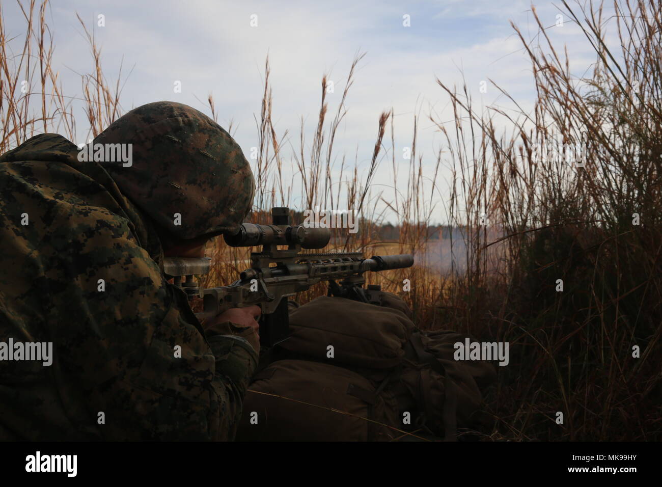 Marines assigned to Scout Sniper School suppress targets in an exercise ...