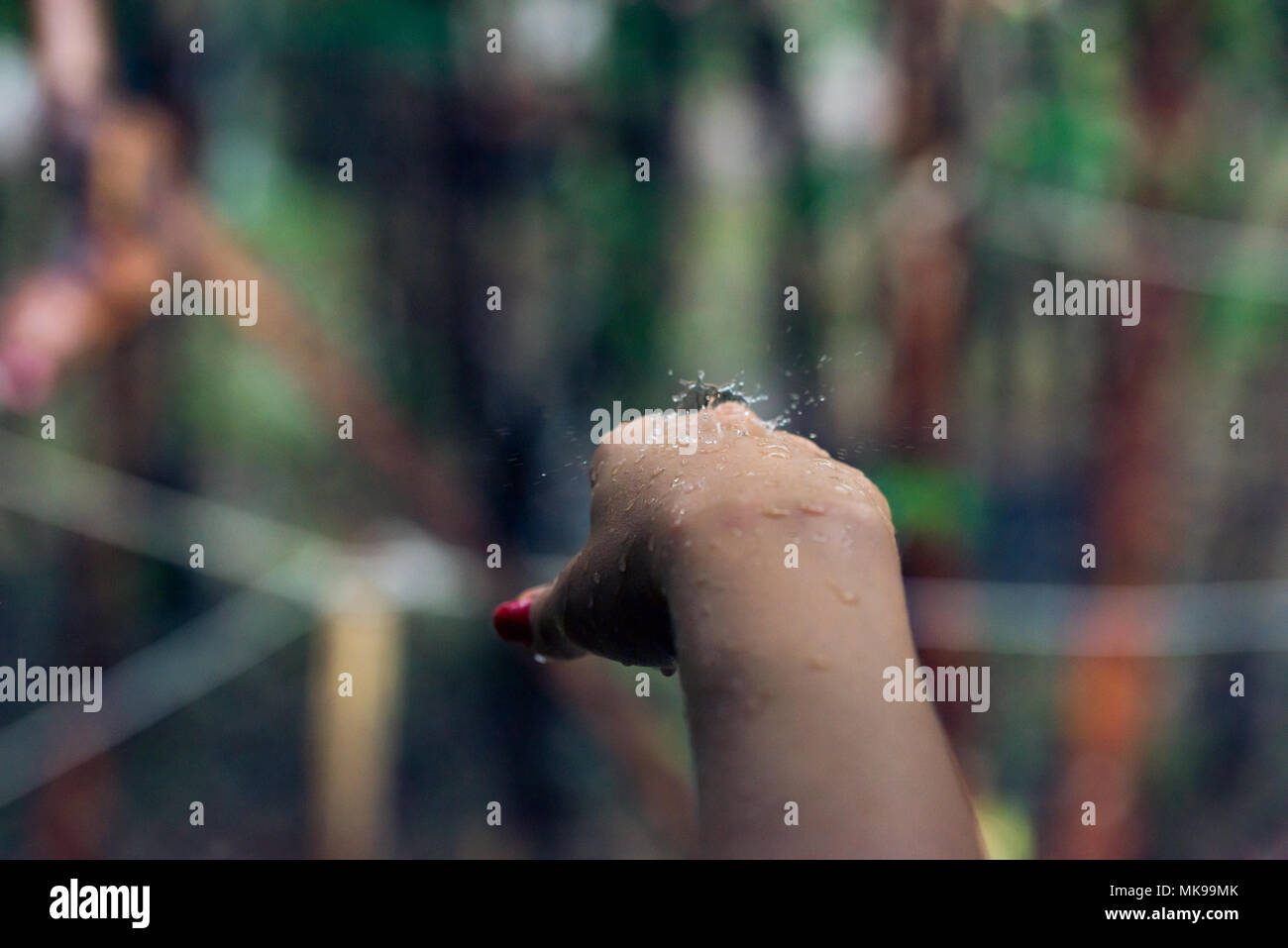 Rain drops falling on woman’s hand Stock Photo - Alamy