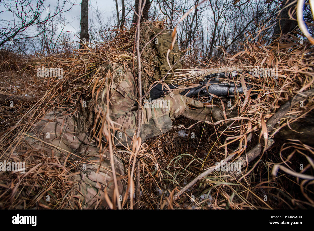 Avoiding detection hi-res stock photography and images - Alamy