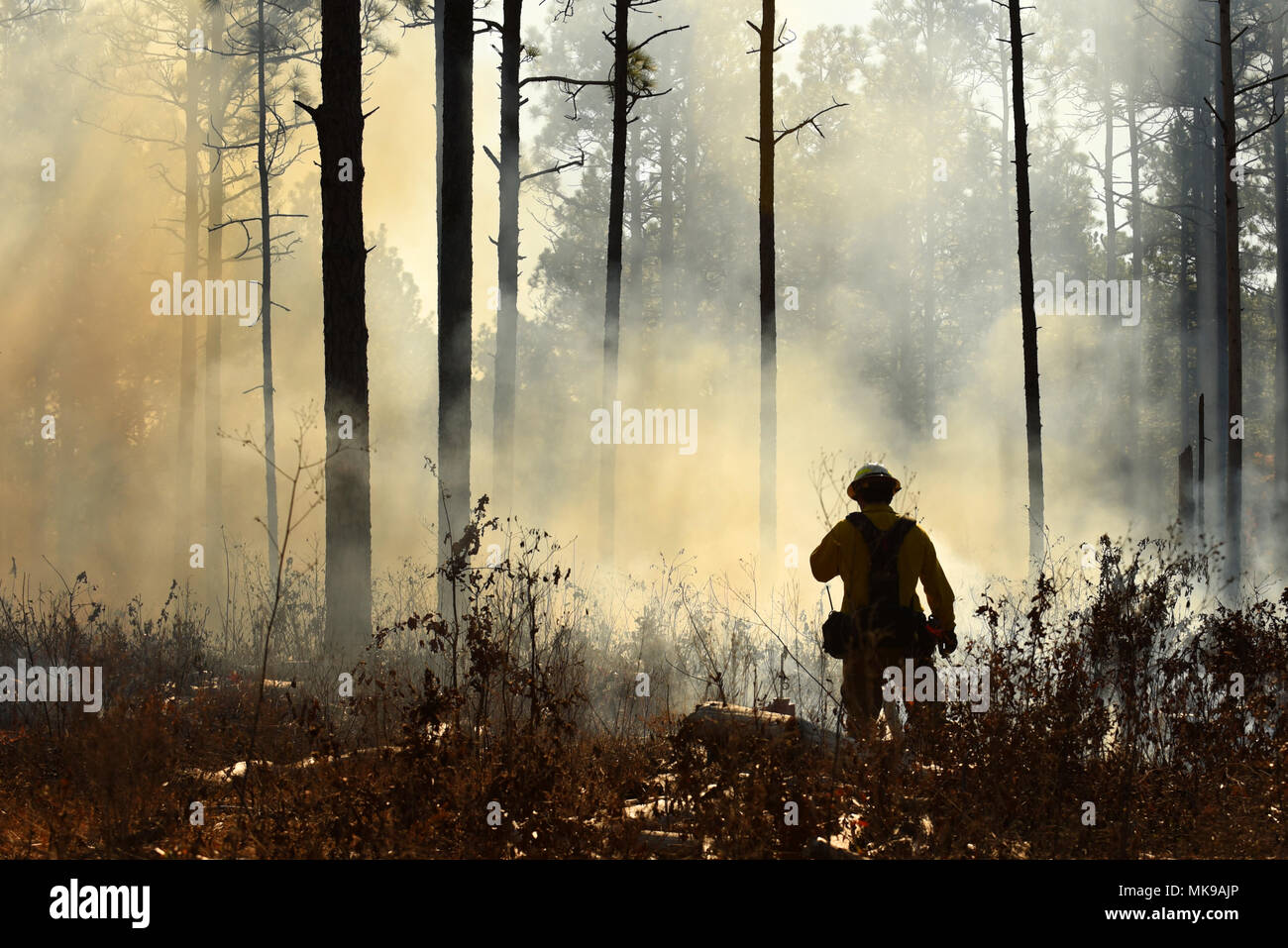 Prescribed fire training hi-res stock photography and images - Alamy