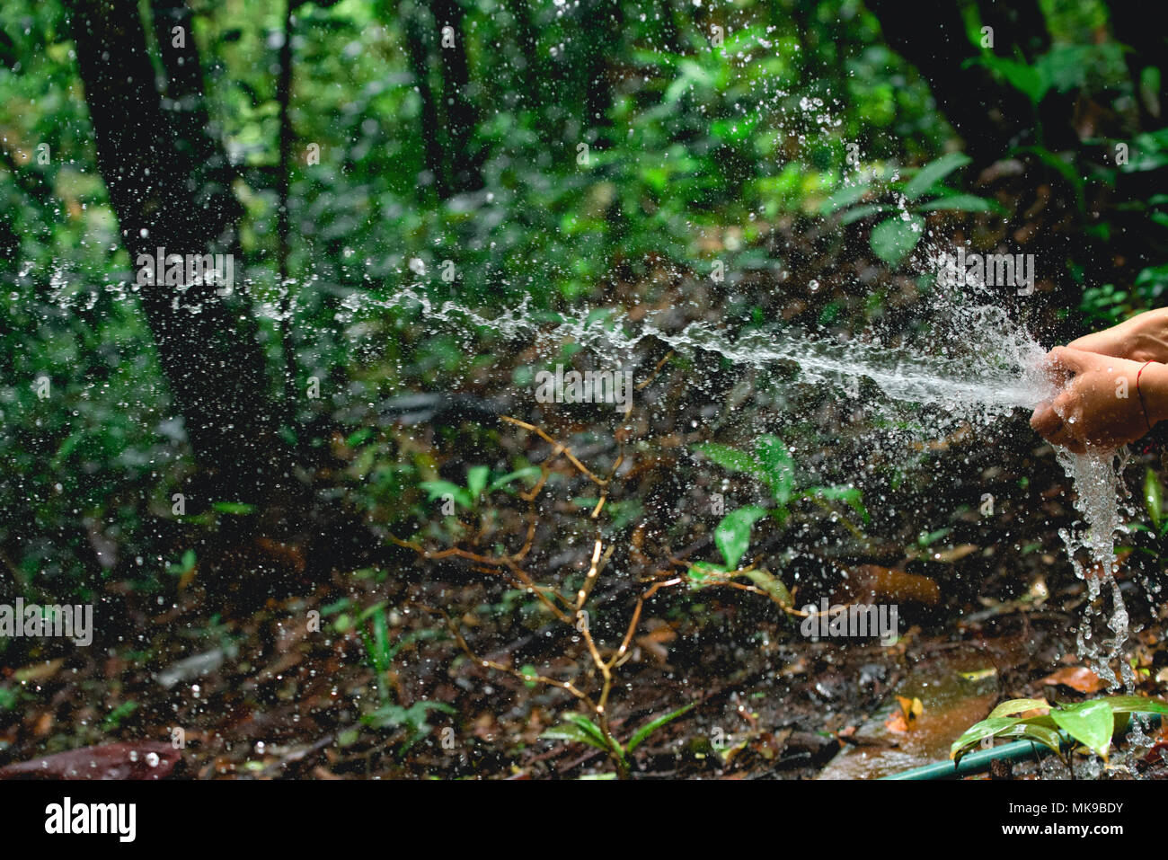 Heaving rain hi-res stock photography and images - Alamy