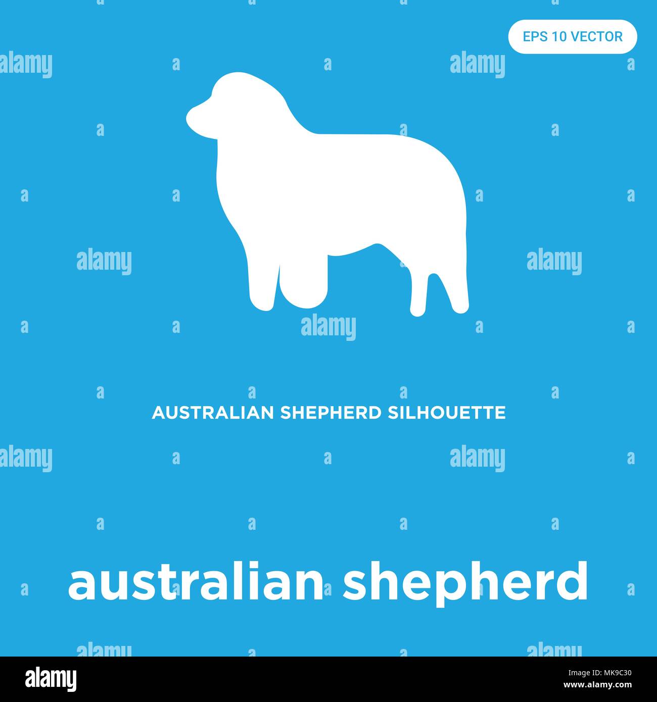australian shepherd vector icon isolated on blue background, sign and ...