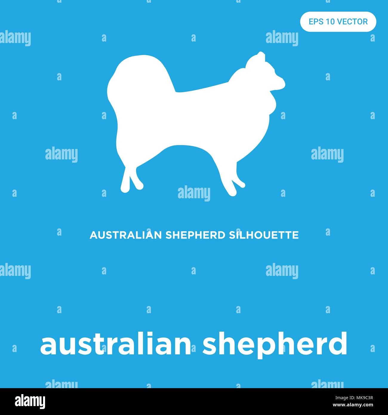 australian shepherd vector icon isolated on blue background, sign and ...