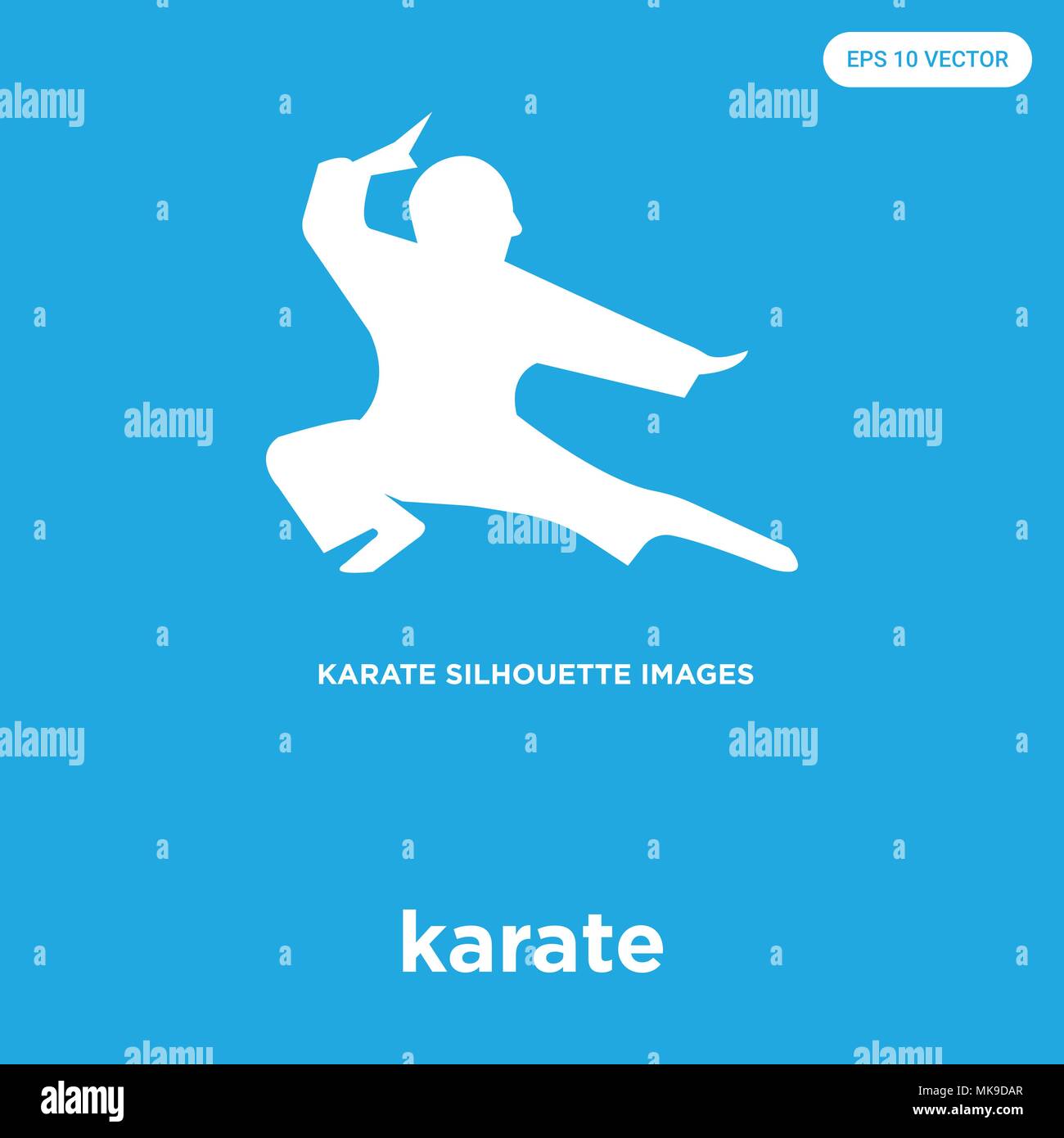 karate vector icon isolated on blue background, sign and symbol Stock ...