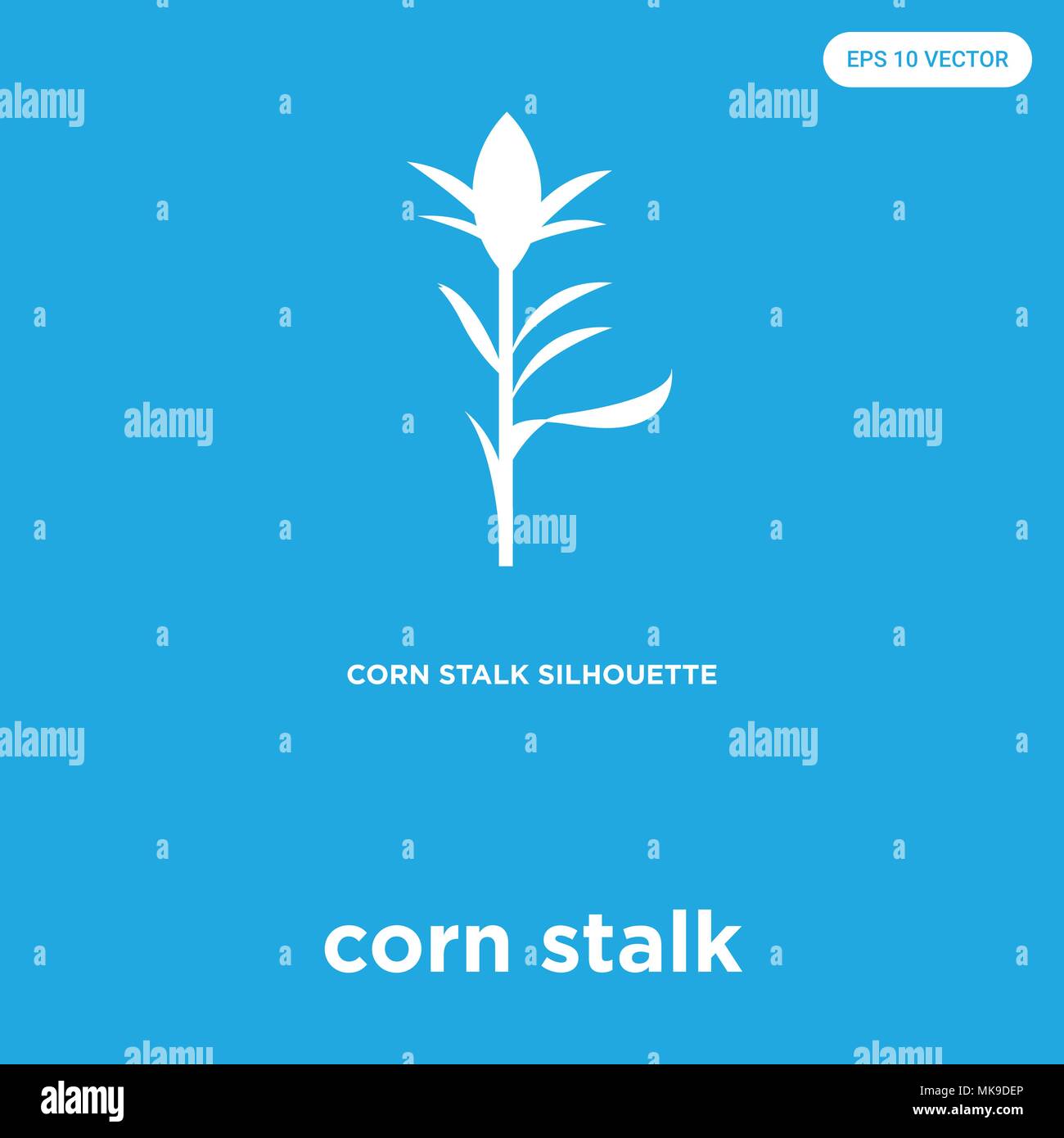 Corn stalks png Stock Vector Images - Alamy