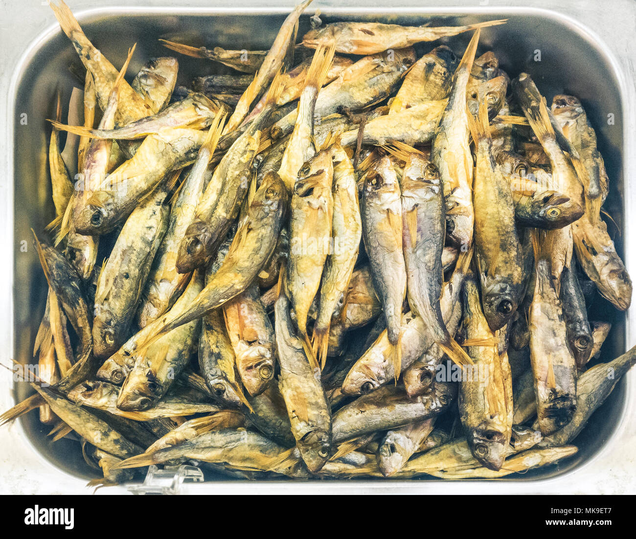 Full goatfish hi-res stock photography and images - Alamy