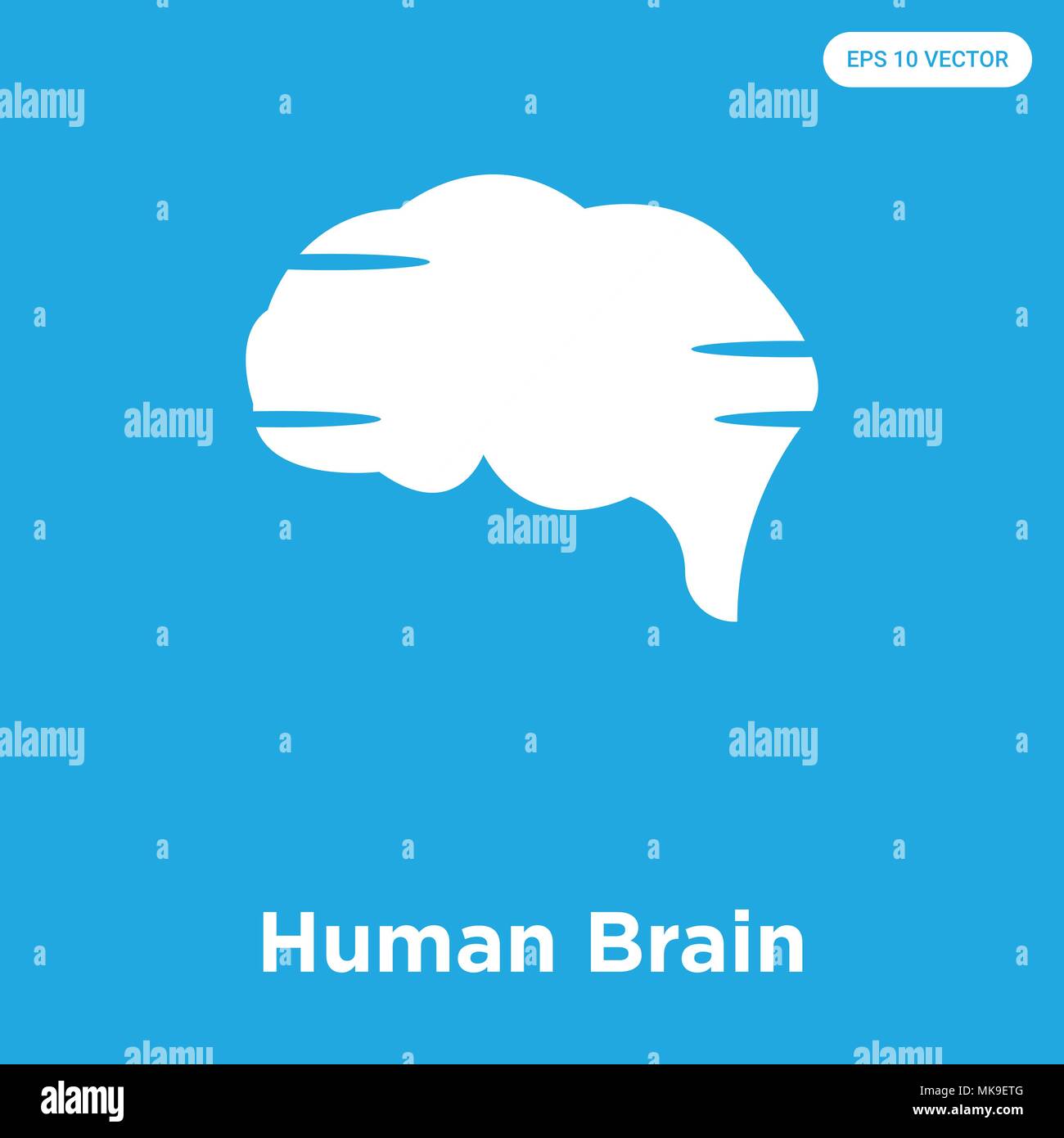 Human Brain vector icon isolated on blue background, sign and symbol ...