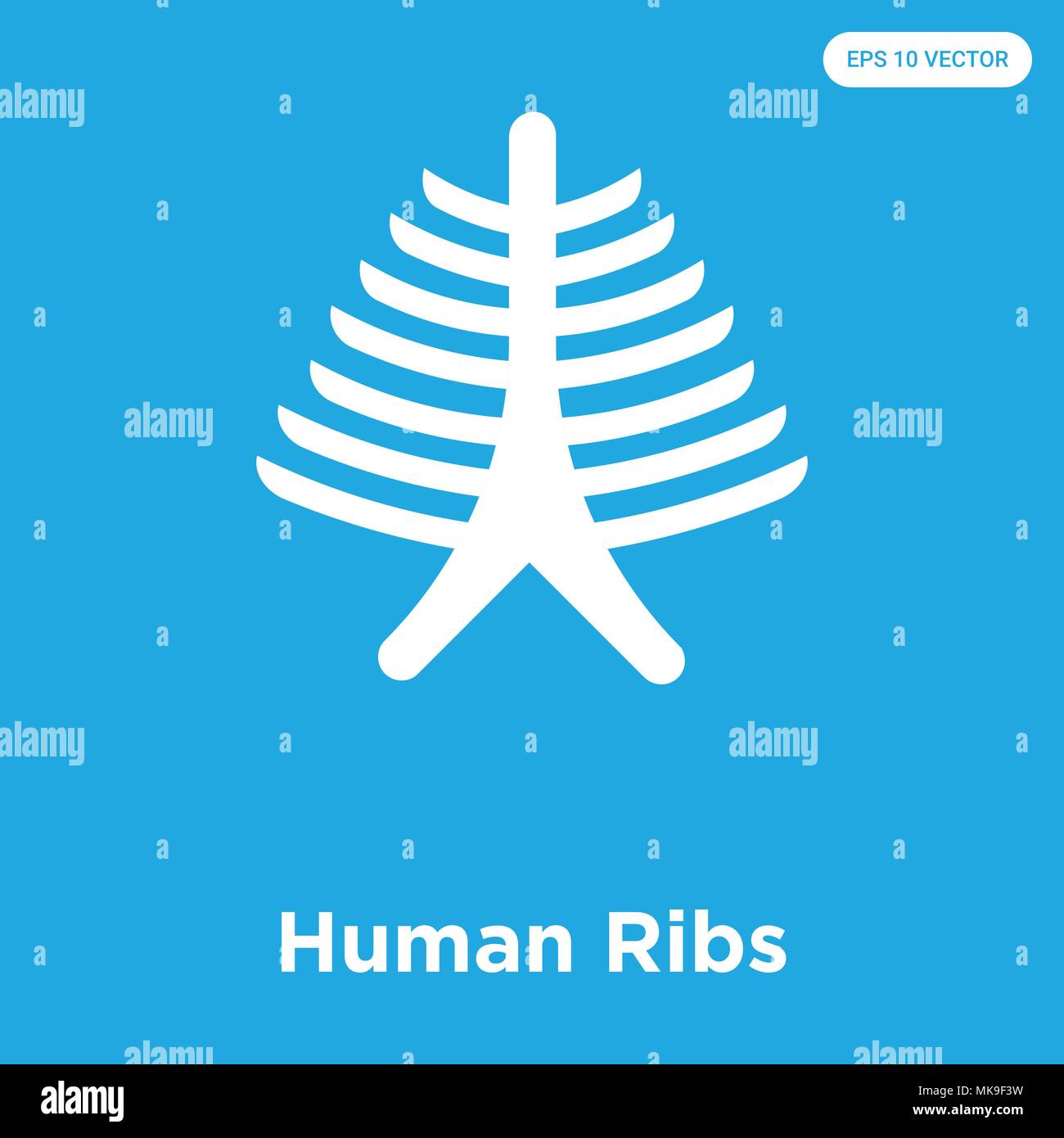 Human Ribs vector icon isolated on blue background, sign and symbol ...