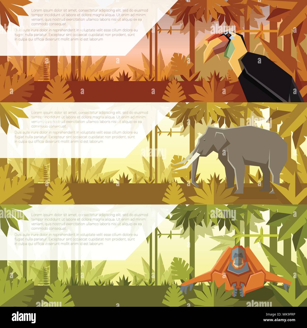 Vector image of the Set of flat banners with asian animals hornbill ...