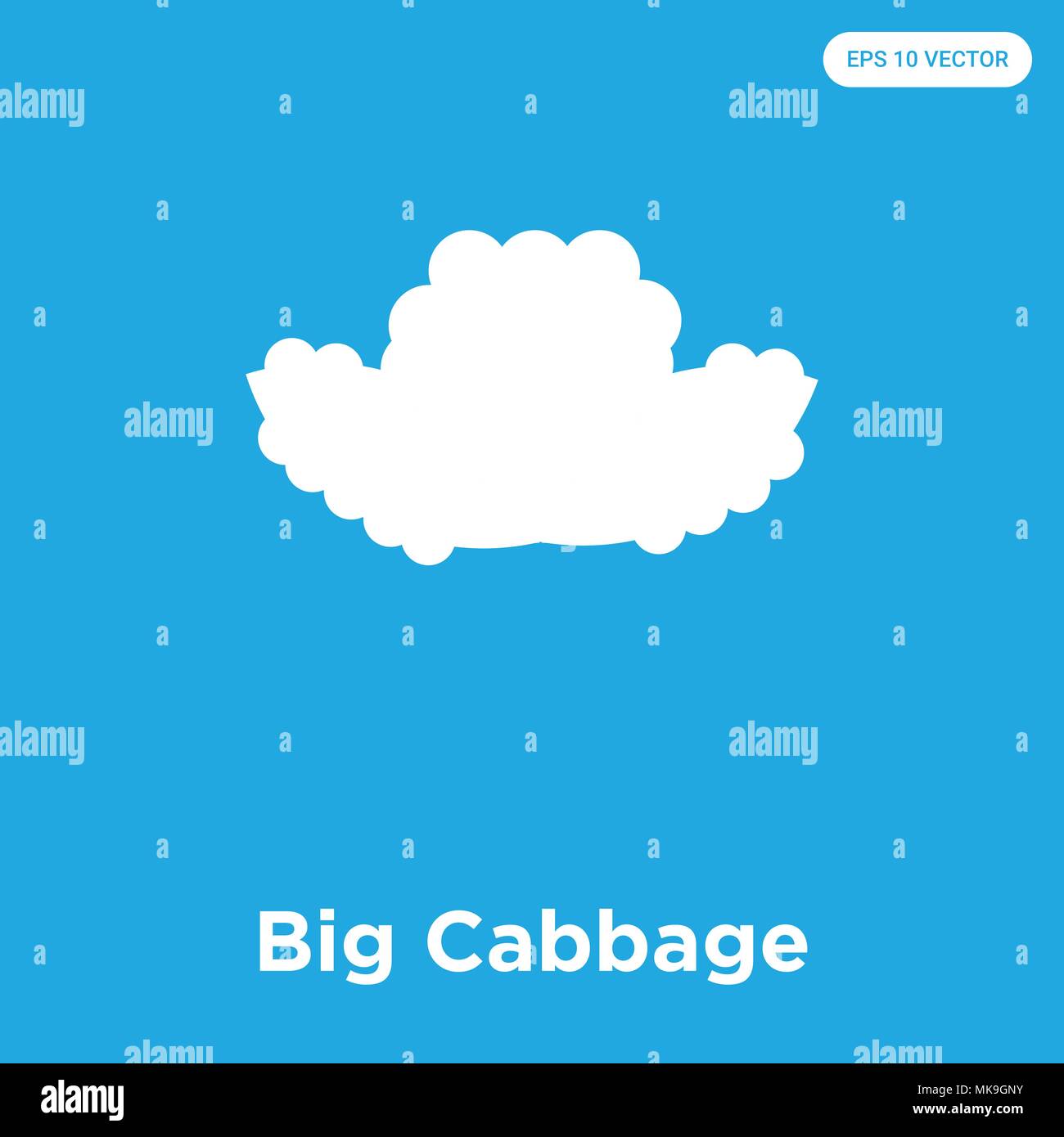 Big Cabbage vector icon isolated on blue background, sign and symbol ...