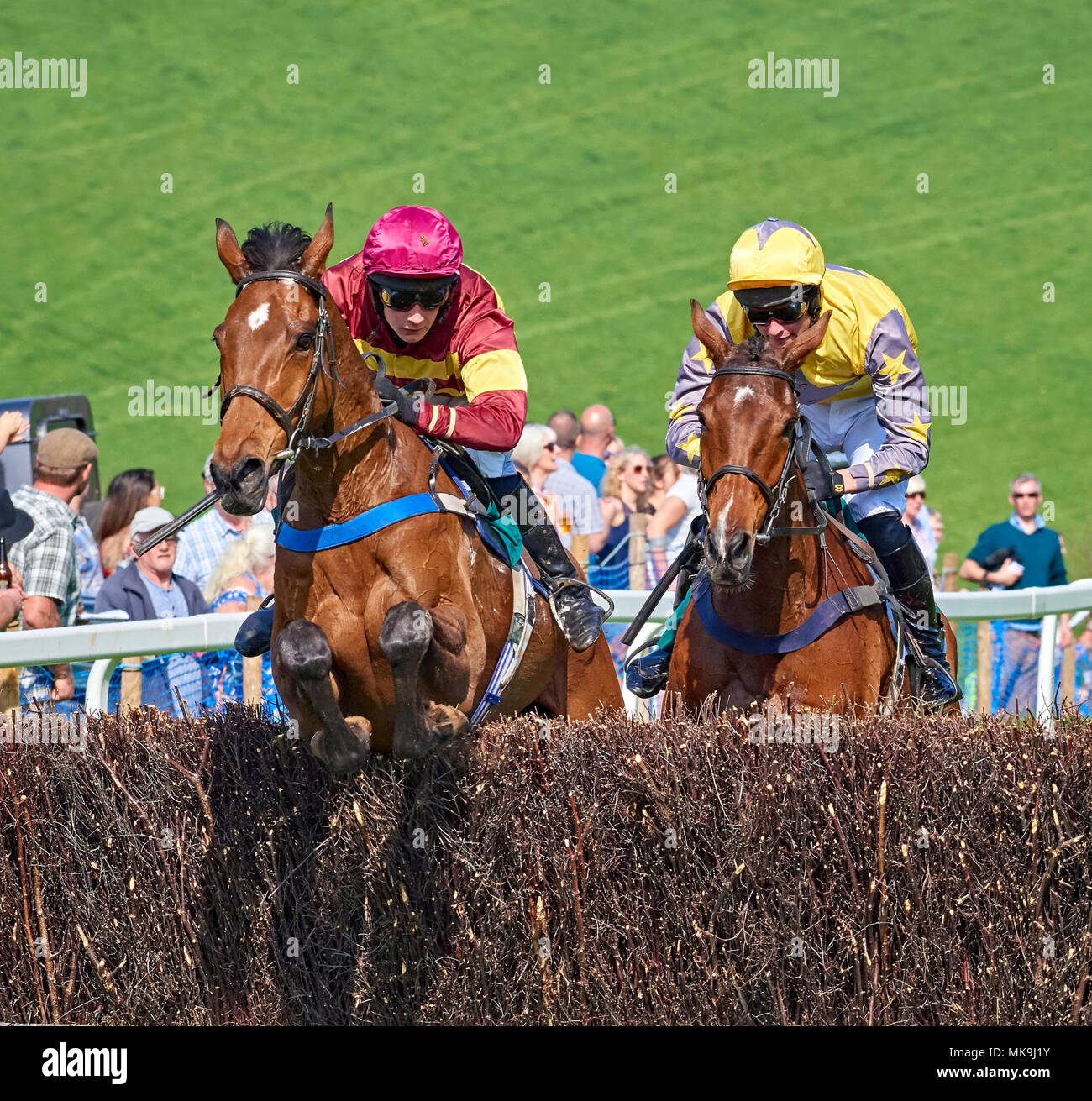 Race horse and jockey jumping hi-res stock photography and images - Alamy