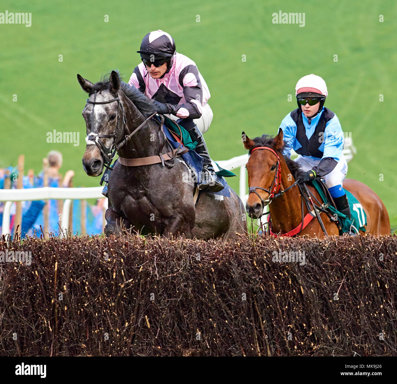 Race horse and jockey jumping hi-res stock photography and images - Alamy