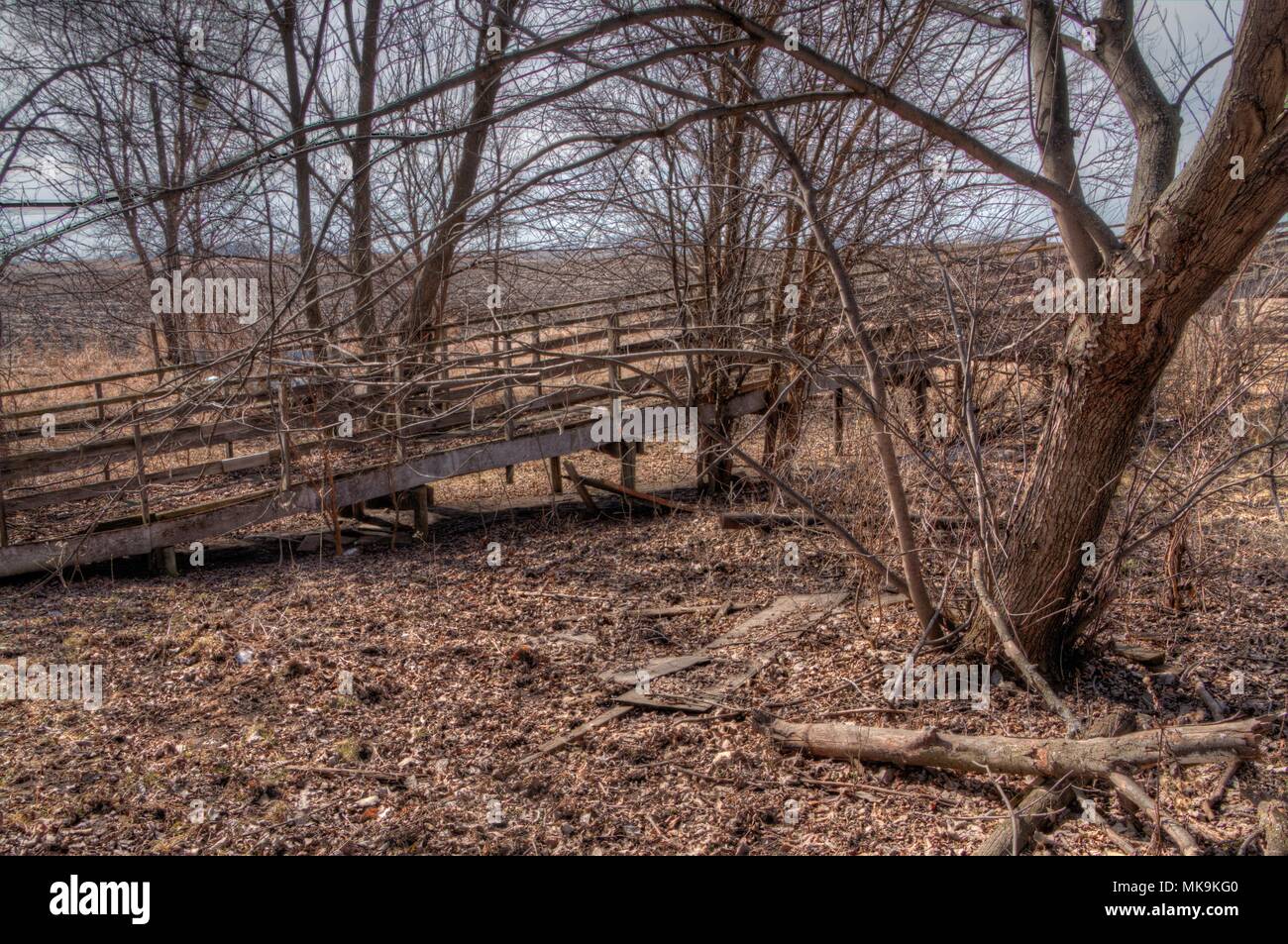 An old neglected Farm and Equipment from the Mid-20th Century in ...