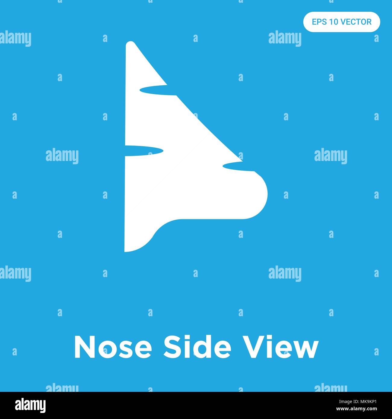 Nose Side View vector icon isolated on blue background, sign and symbol ...