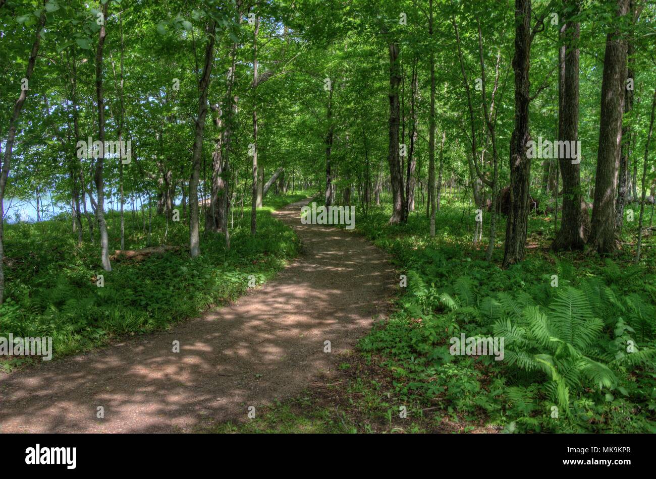 Bowstring Lake is Part of the Leech Lake Native American Reservation in ...
