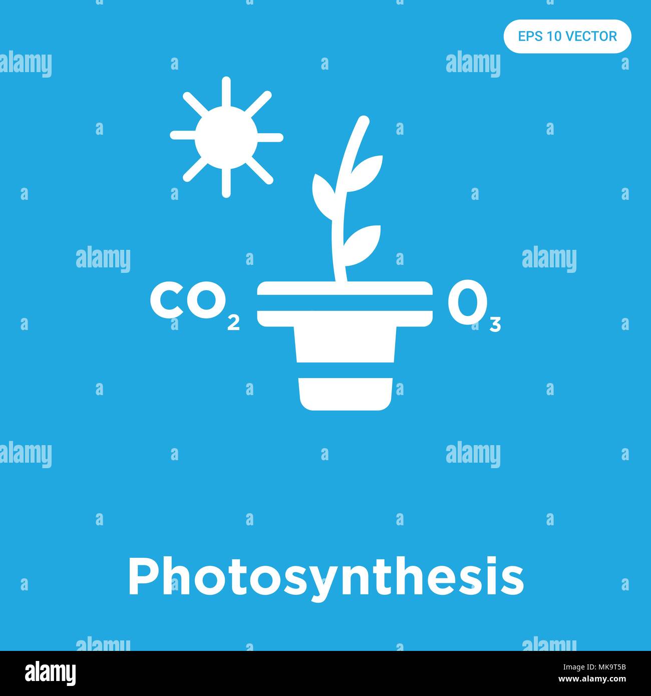 Artificial photosynthesis Stock Vector Images - Alamy