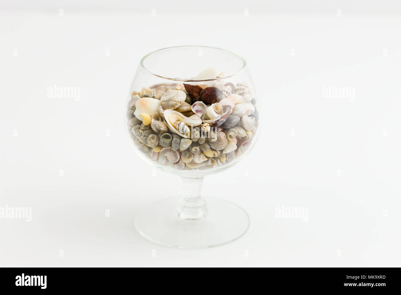 small sea shells in a small glass on white background Stock Photo - Alamy