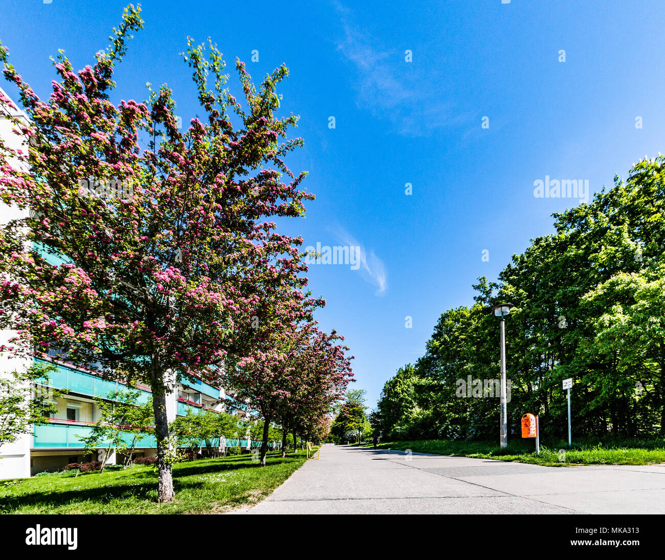 Marzahn park hi-res stock photography and images - Alamy