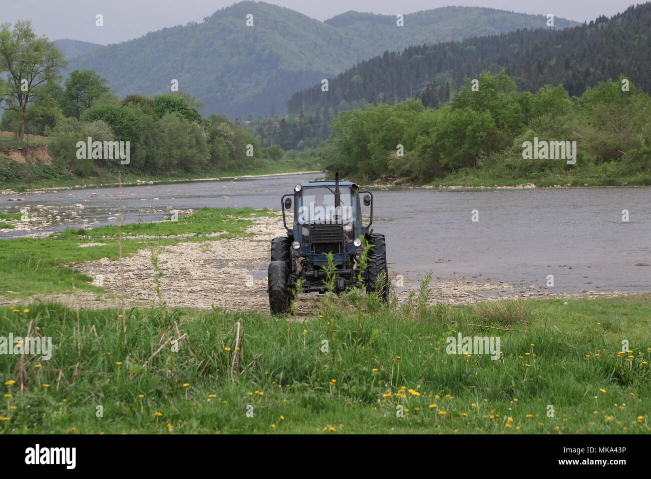 Ukrainian farmer driving an old Soviet era tractor by the Stryi (Stryj ...