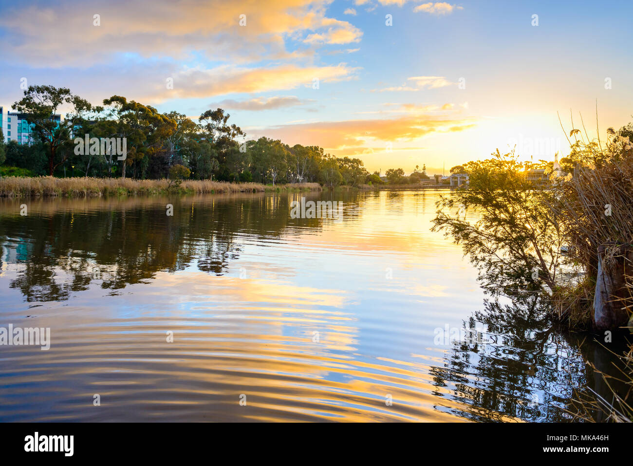 River torrens south australia hi-res stock photography and images - Alamy