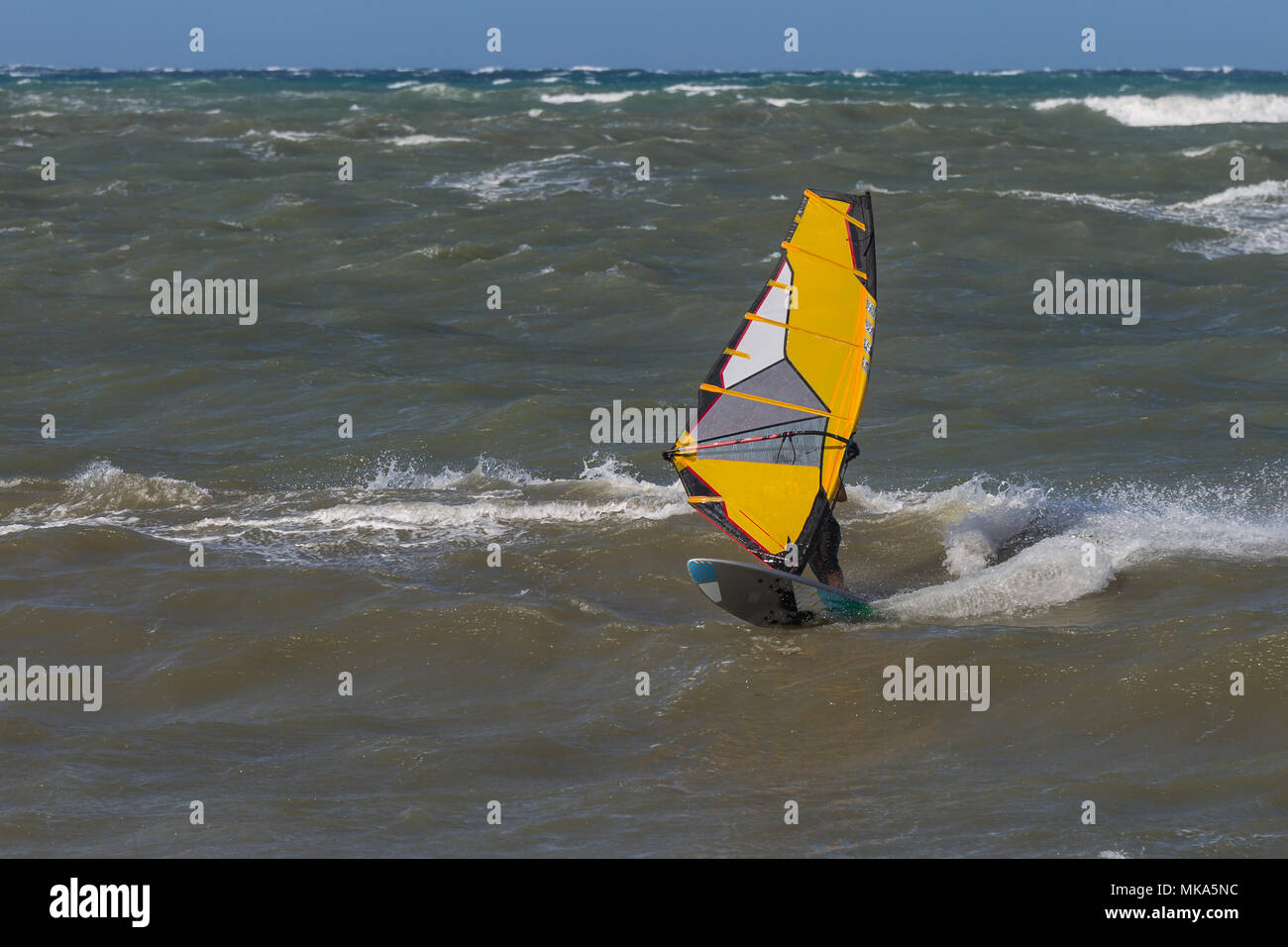 Windsurfer riding waves in hi-res stock photography and images - Alamy