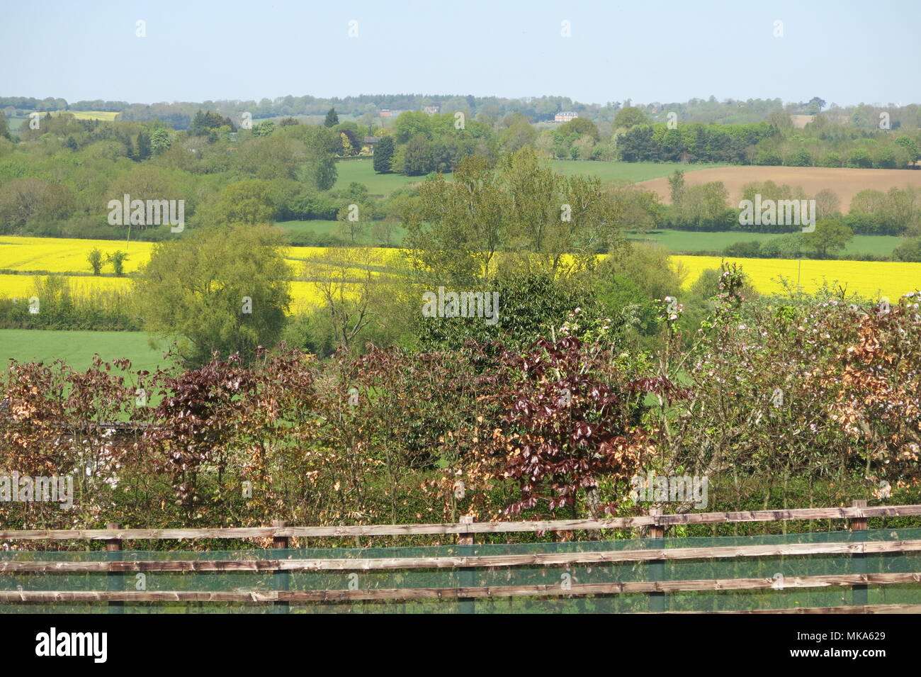 Rural scenes whilst driving through the north Northamptonshire ...