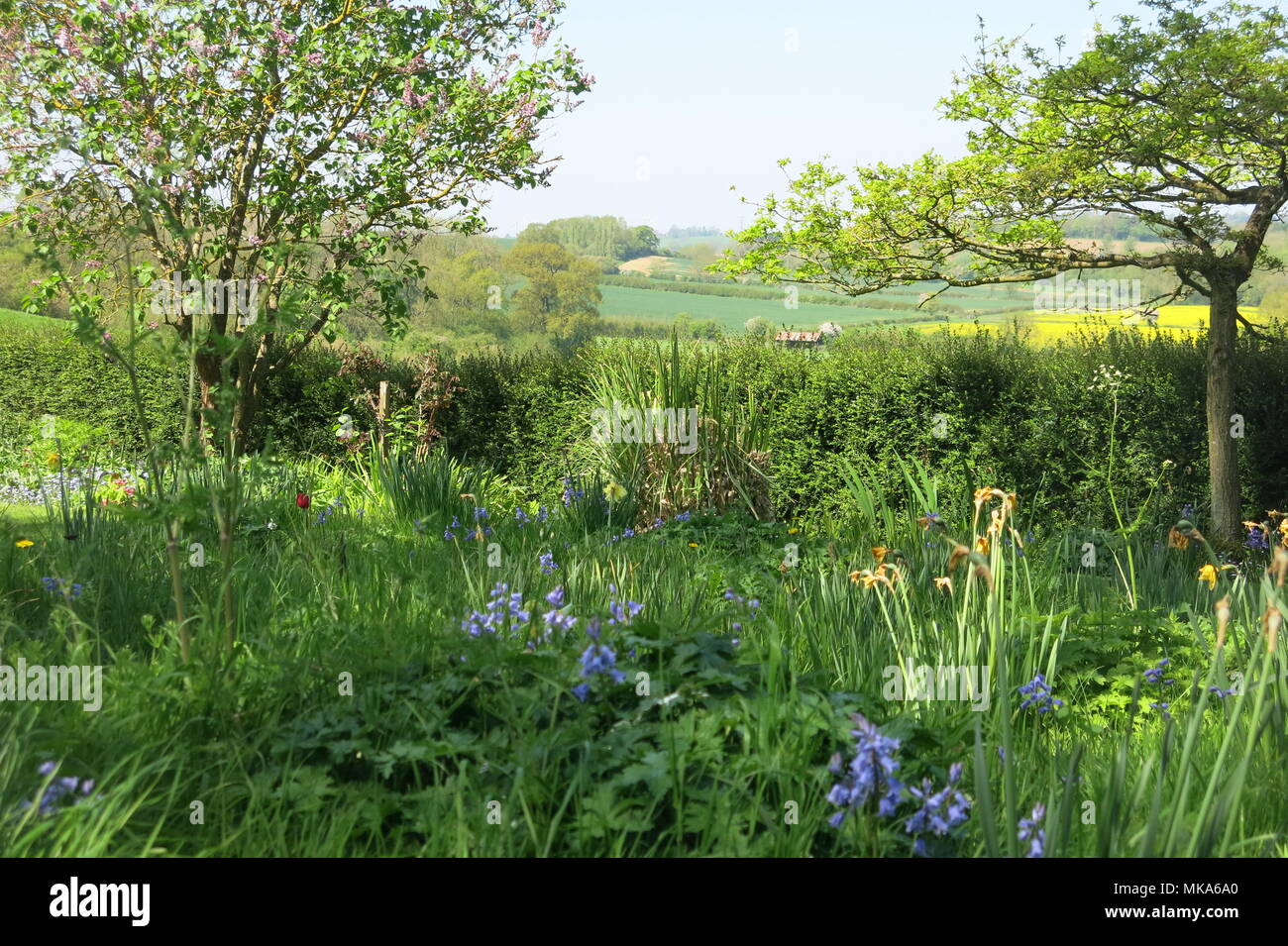 Rural scenes whilst driving through the north Northamptonshire ...