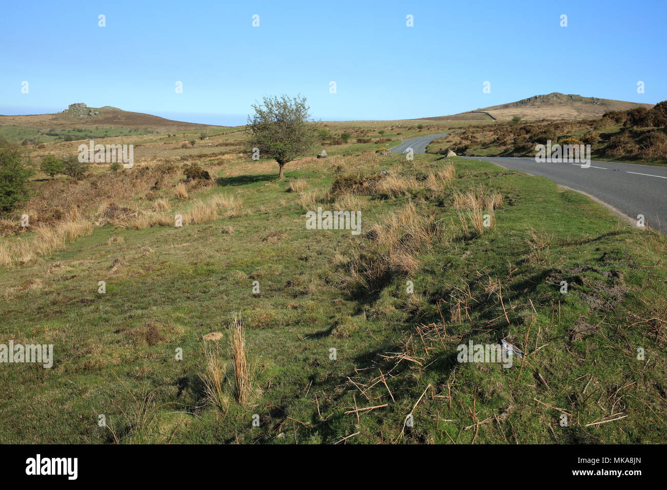 View towards Rippon tor, Dartmoor National park, Devon, England, UK ...