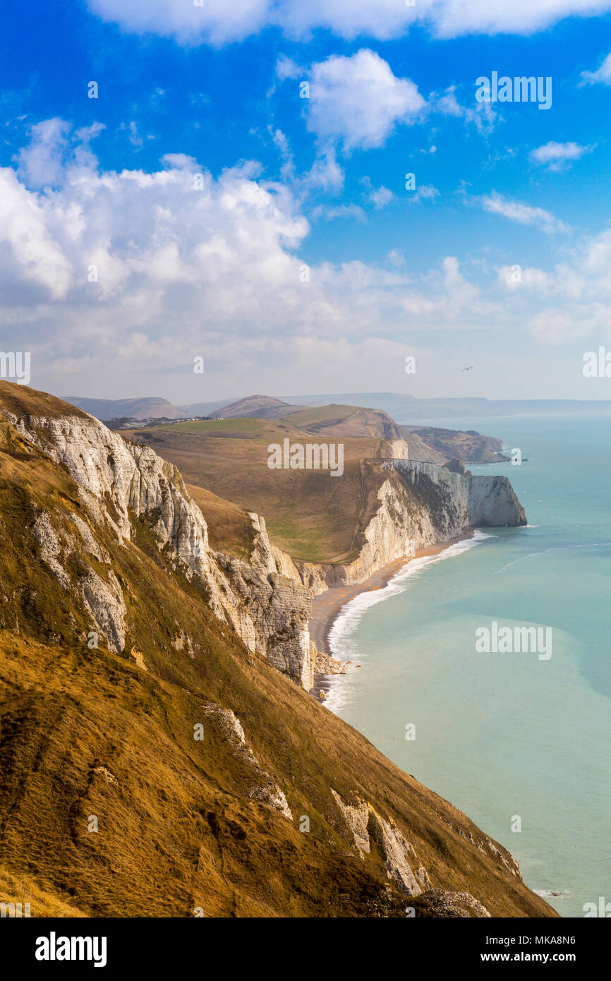 Looking east from White Nothe Point towards Bat Head on the Jurassic ...