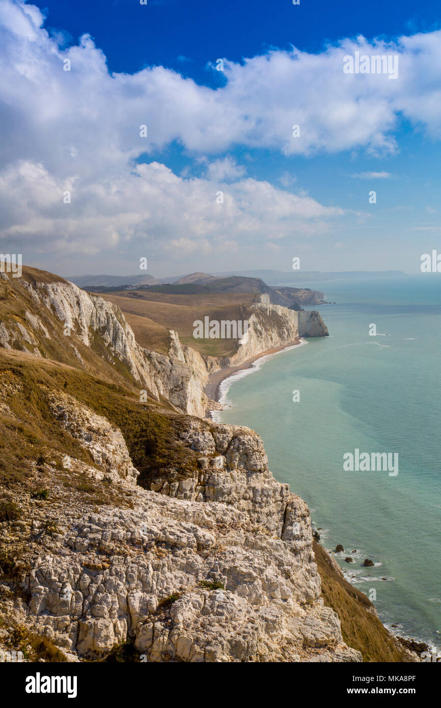 Looking east from White Nothe Point towards Bat Head on the Jurassic ...
