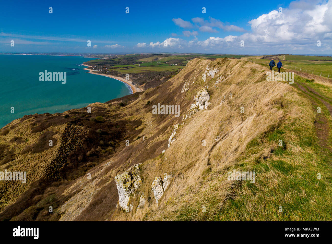 The massive White Nothe landslip and Ringstead Bay on the Jurassic ...