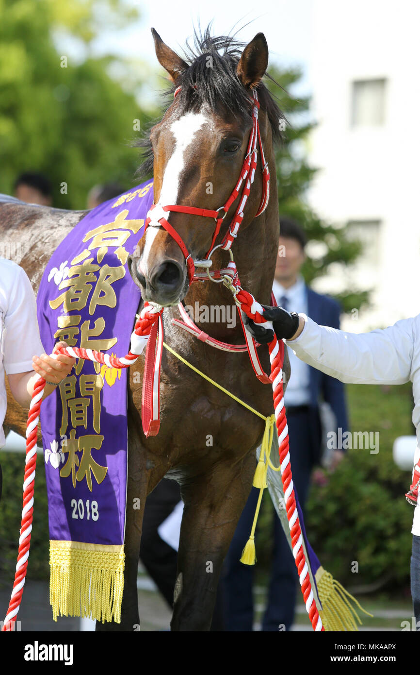Kyoto, Japan. 5th May, 2018. Stay Foolish Horse Racing : Stay Foolish ...