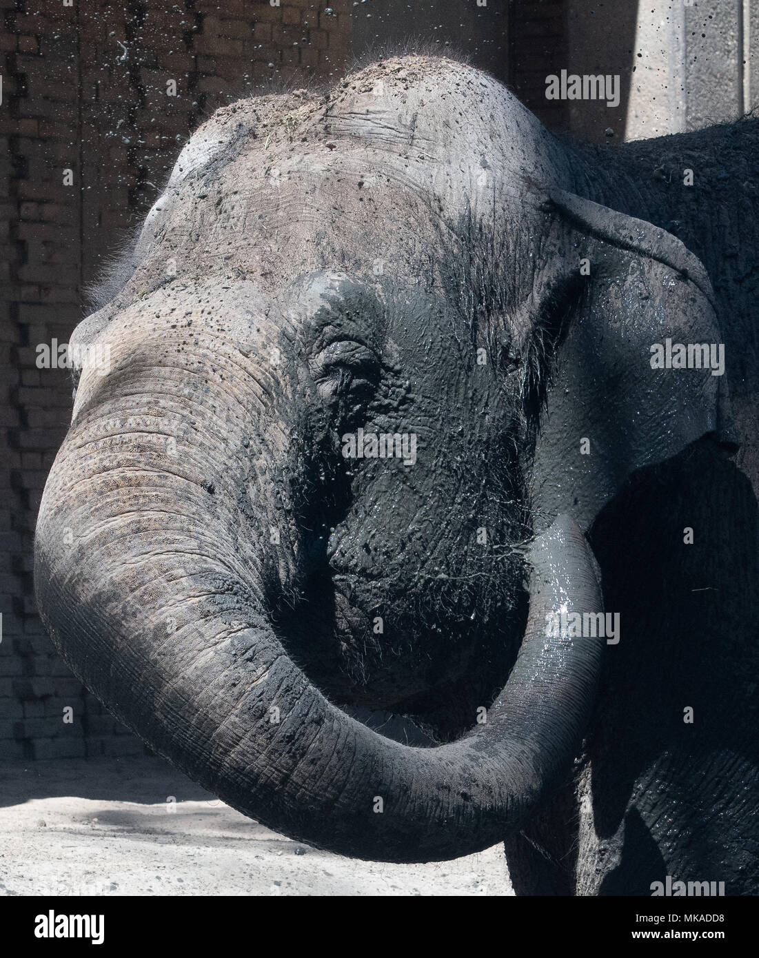 Bites itself hi-res stock photography and images - Alamy