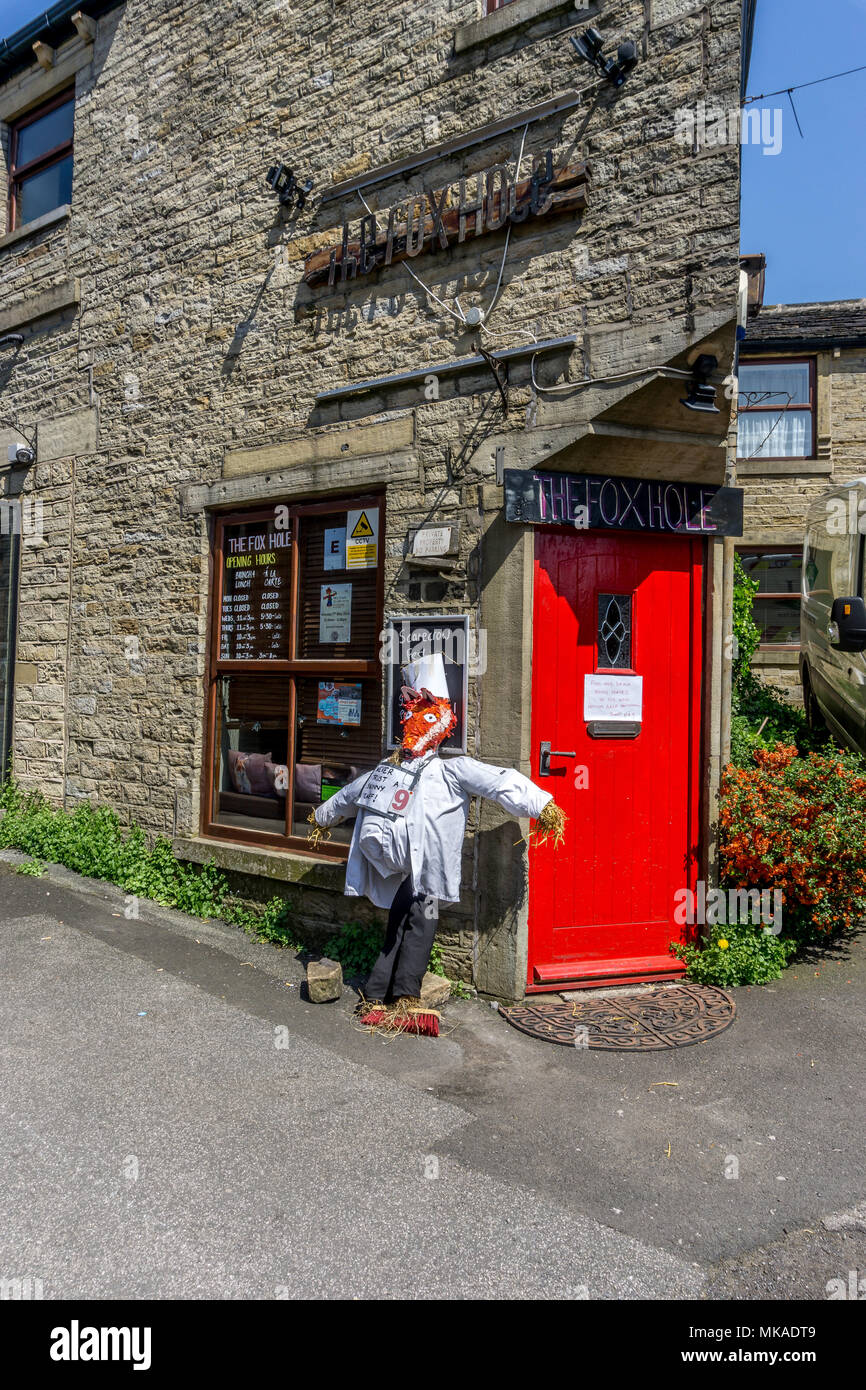 Hole fox hi-res stock photography and images - Alamy