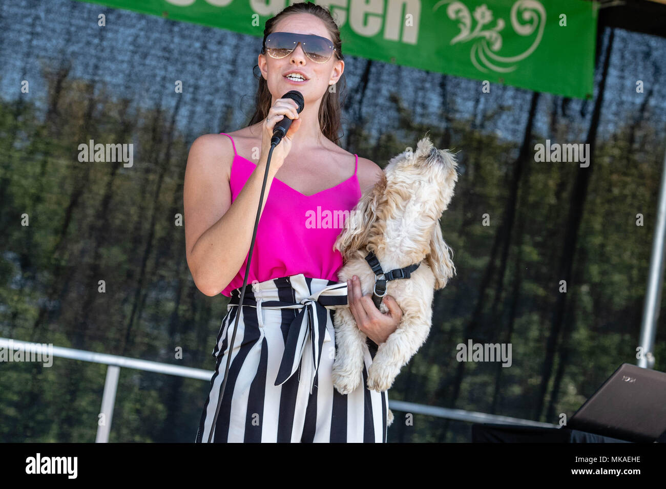 Celebrity dog buddy hi-res stock photography and images - Alamy