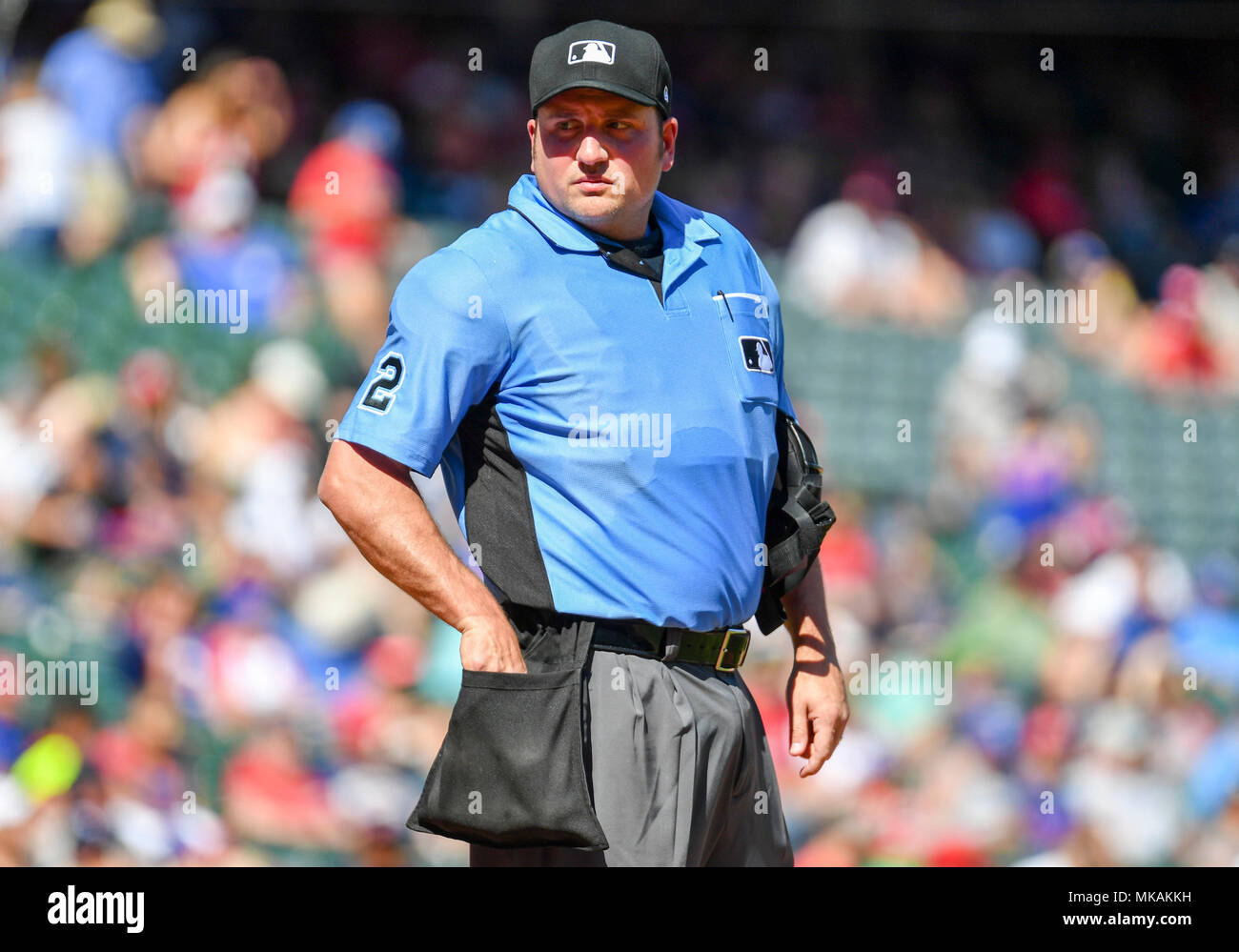 Bellino hi-res stock photography and images - Alamy Bellino hi-res stock photography and images - Alamy