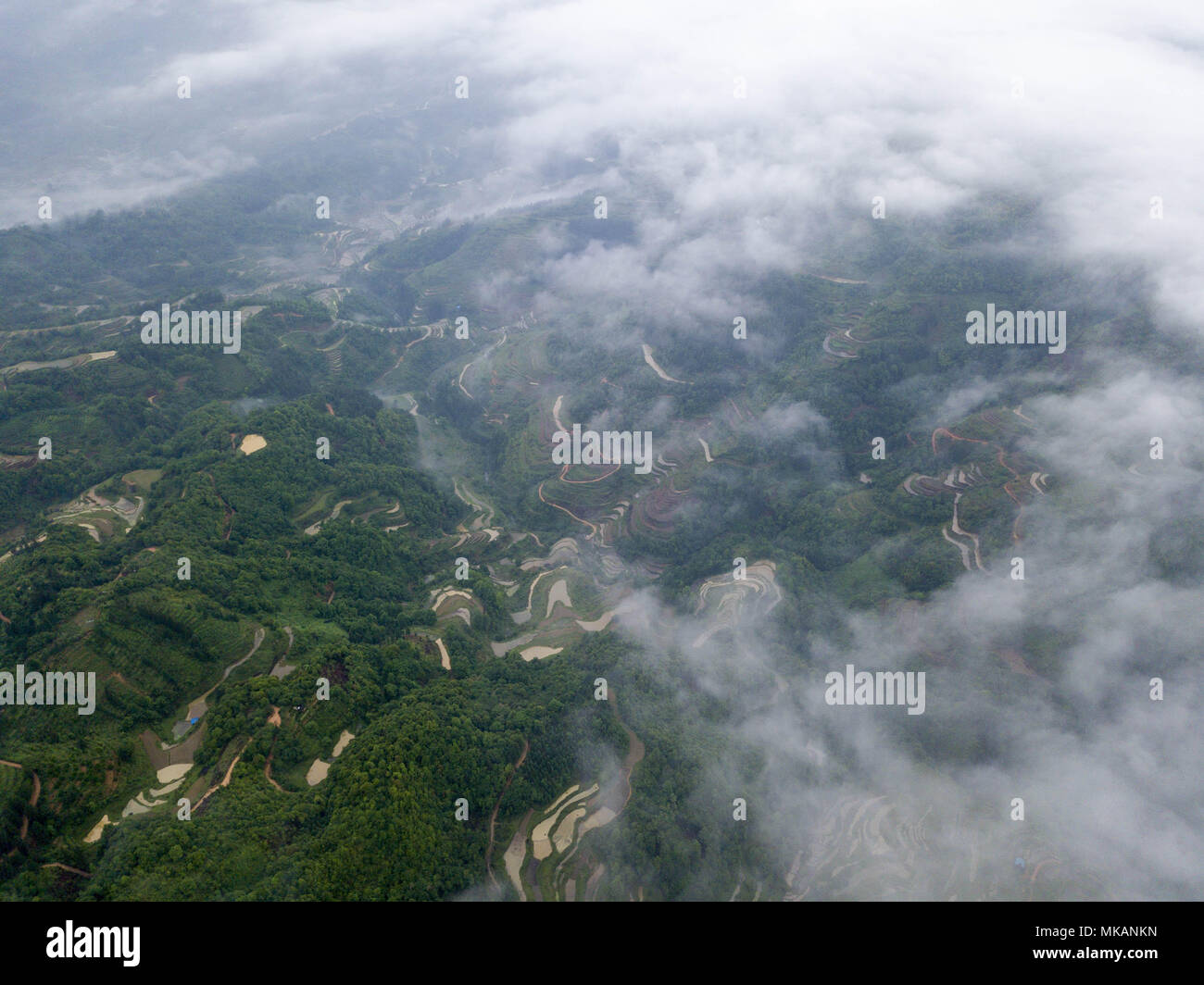 Congjiang, Congjiang, China. 5th May, 2018. Congjiang, CHINA-5th May ...