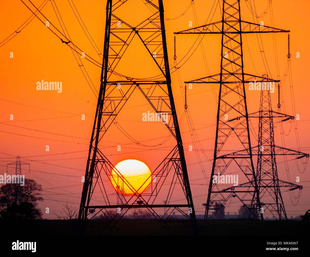 Electricity pylons at sunrise. UK Stock Photo - Alamy