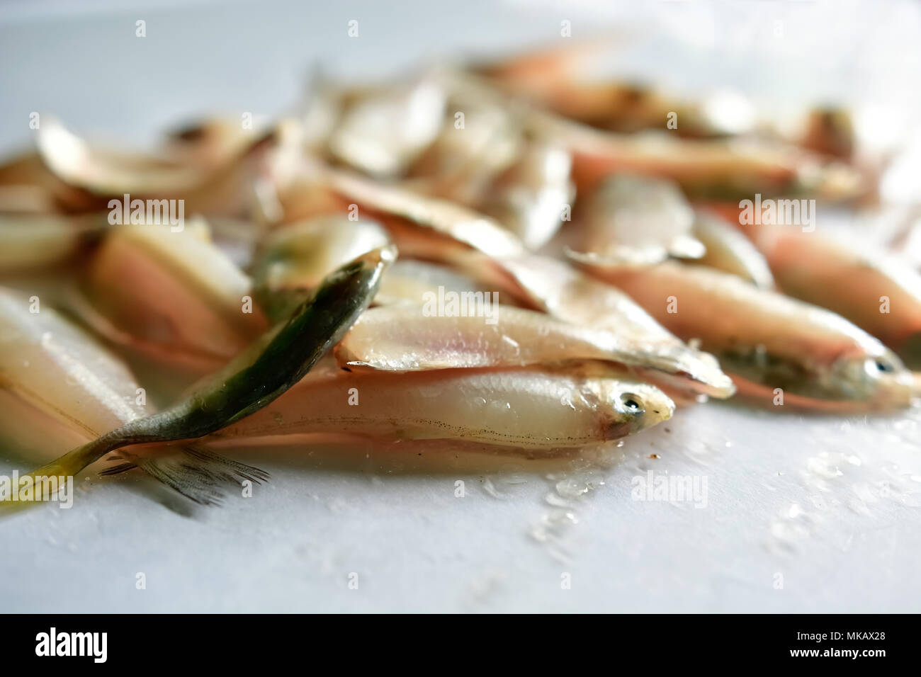 Fresh mackerel fish stack on white table Stock Photo - Alamy