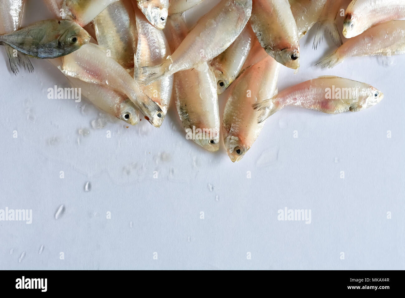 Food preparation india water hi-res stock photography and images - Alamy