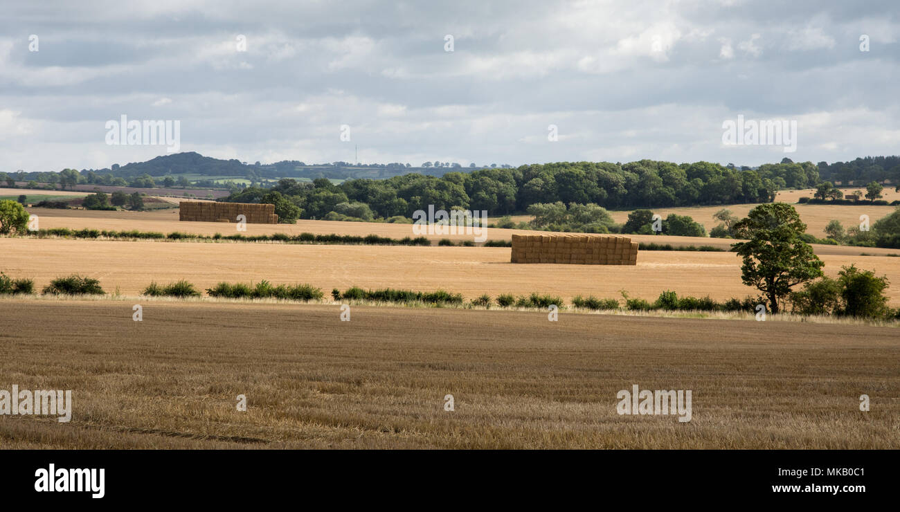 Hay fields leicestershire hi-res stock photography and images - Alamy