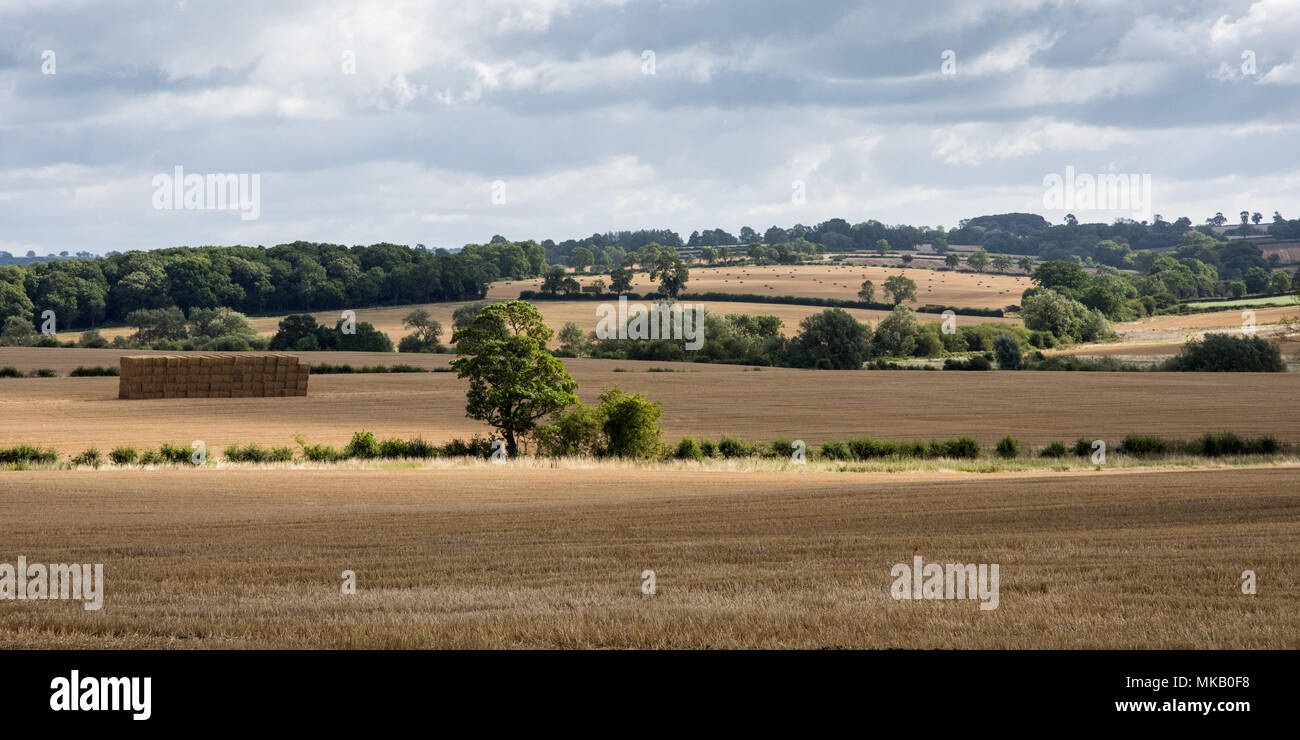 English farm field after harvesting hi-res stock photography and images ...
