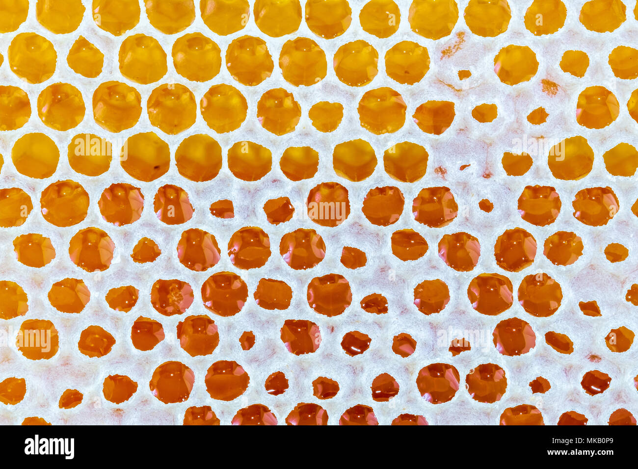 Honey texture hi-res stock photography and images - Alamy